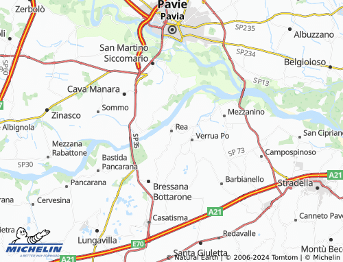 MICHELIN Rea map - ViaMichelin