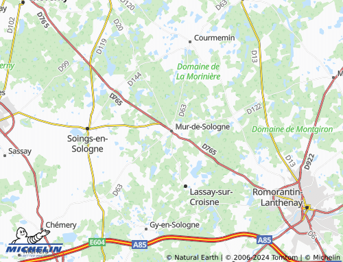 Carte MICHELIN Mur-de-Sologne - ViaMichelin