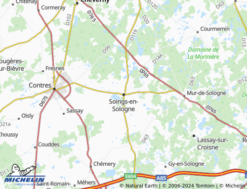 Carte MICHELIN Soings-en-Sologne - ViaMichelin