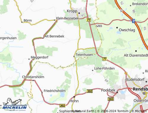 MICHELIN Tetenhusen map - ViaMichelin