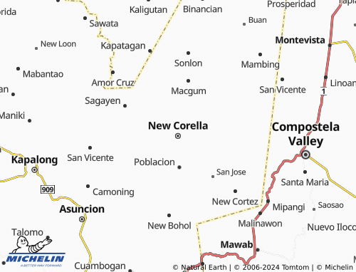 MICHELIN New Corella map - ViaMichelin