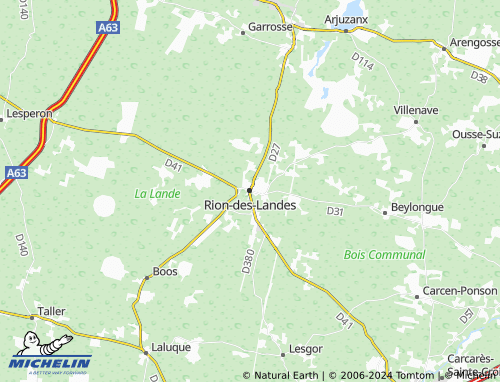 Carte MICHELIN Rion-des-Landes - ViaMichelin