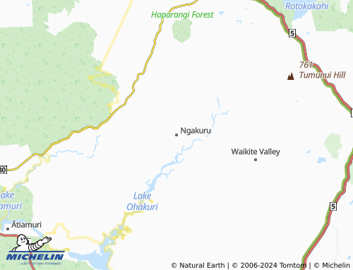 Mapa MICHELIN Ngakuru - ViaMichelin