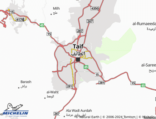 MICHELIN Taif map - ViaMichelin