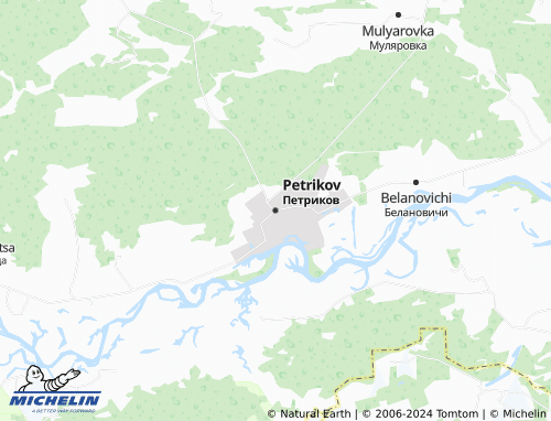 MICHELIN Petrikov map - ViaMichelin