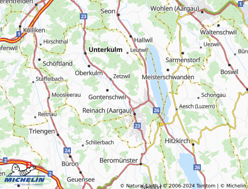 MICHELIN-Landkarte Leimbach (Aargau) - ViaMichelin