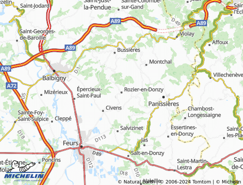 Carte MICHELIN Rozier-en-Donzy - ViaMichelin