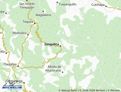 Mapa MICHELIN Zongolica - ViaMichelin