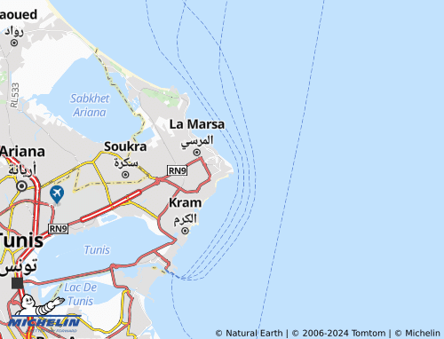 Carte MICHELIN Sidi Bou Said - ViaMichelin