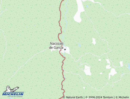Kaart MICHELIN Nacozari de García - ViaMichelin