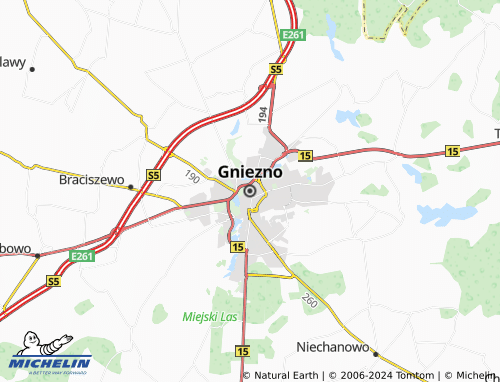 MICHELIN Gniezno map - ViaMichelin