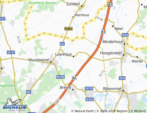 Kaart MICHELIN Loenhout - ViaMichelin