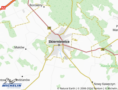 MICHELIN Skierniewice map - ViaMichelin