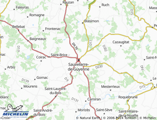Carte MICHELIN Sauveterre-de-Guyenne - ViaMichelin