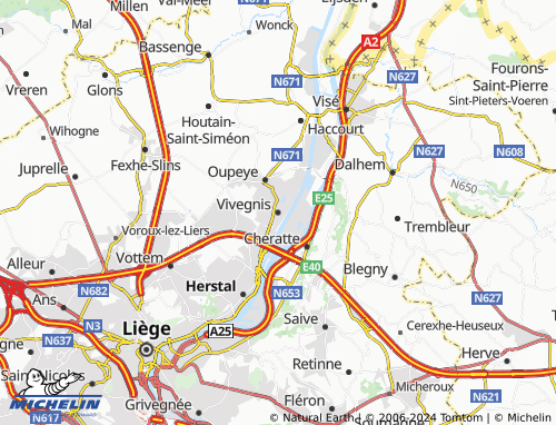 Carte MICHELIN Vivegnis - ViaMichelin