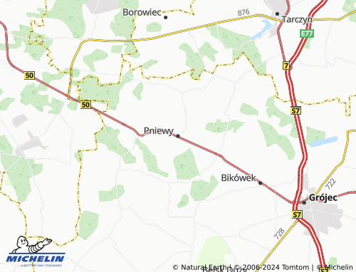 Mapa MICHELIN Pniewy - ViaMichelin